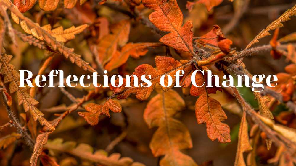 Reflections from Watching the Leaves Change. – Rtownsnacks